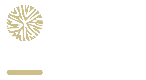 À propos | maashcompany